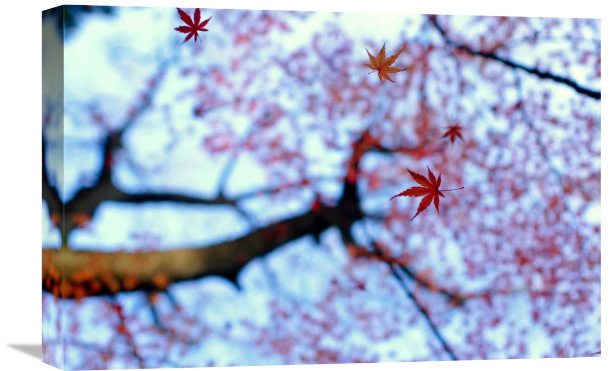 Global Gallery 'Heirinji' by Kouji Tomihisa Photographic Print on Wrapped Canvas | Wayfair